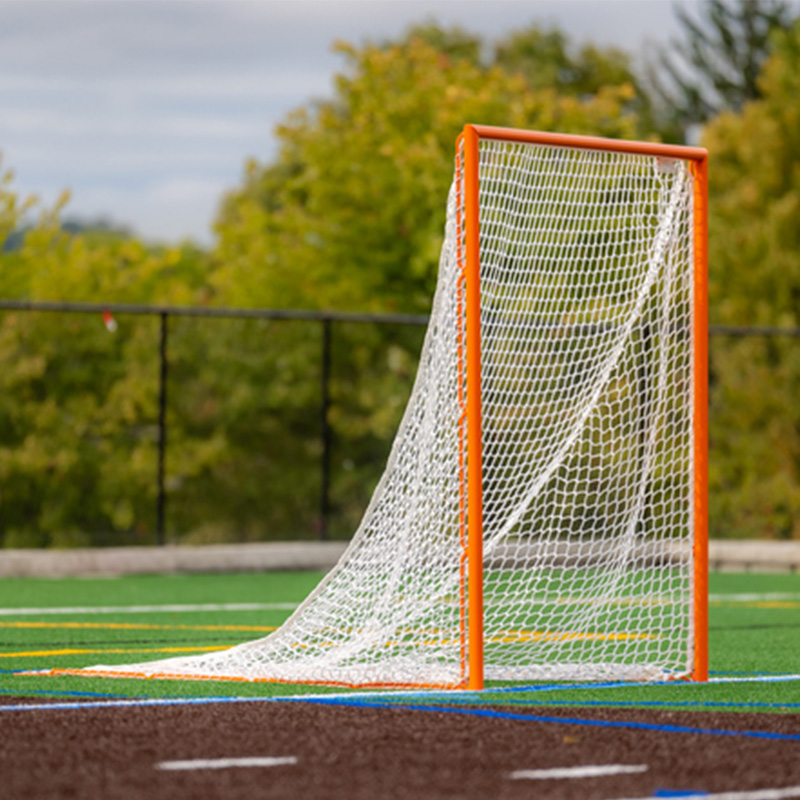 Elders Professional Lacrosse Goal